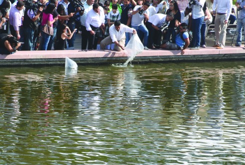 Incierta, nueva etapa del Parque Alcalde - El Diario NTR | NTR Guadalajara