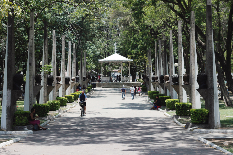 Avalan bosques urbanos en GDL - El Diario NTR | NTR Guadalajara