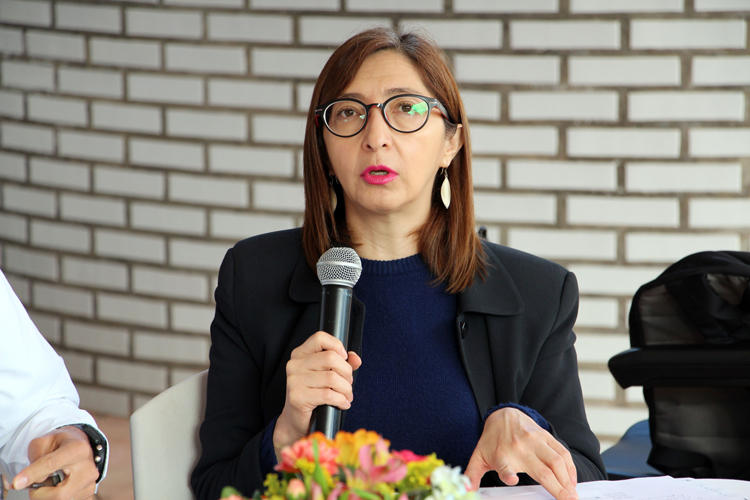 Relevarán a Mara Robles en comisión | NTR Guadalajara