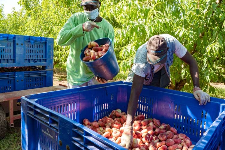 Jalisco busca potenciar la agroalimentación - El Diario NTR | NTR ...