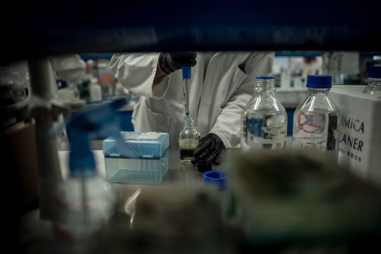 México formalizará compra de vacunas con AstraZeneca | NTR Guadalajara