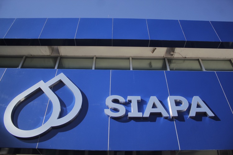 Siapa, sin obligación de verificar documentos | NTR Guadalajara