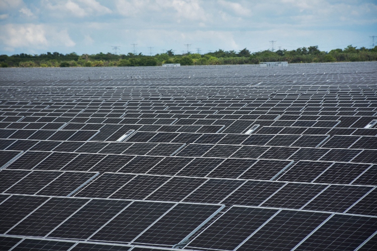 Inauguran 'La Pimienta', el segundo parque solar más grande de México ...