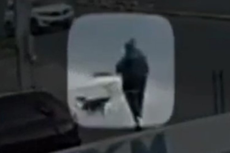 Cinco personas habrían privado de la libertad a Mónica de León - El ...