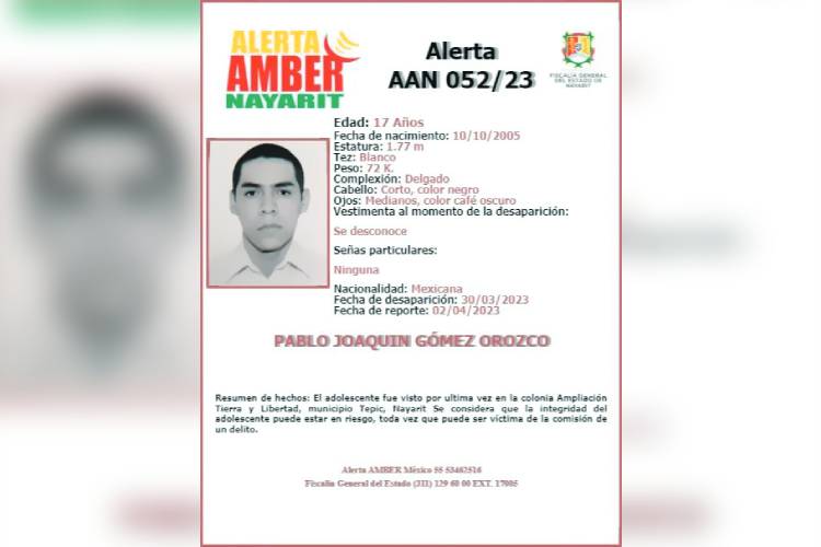 Acusan que la Alerta Amber es subutilizada - El Diario NTR | NTR Guadalajara