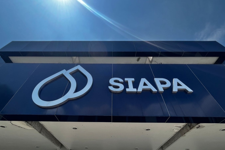 Procesan a ex funcionaria del Siapa por prestaciones indebidas | NTR ...