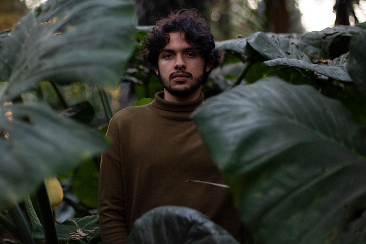 Freeman nos impulsa a redescubrirse - El Diario NTR | NTR Guadalajara