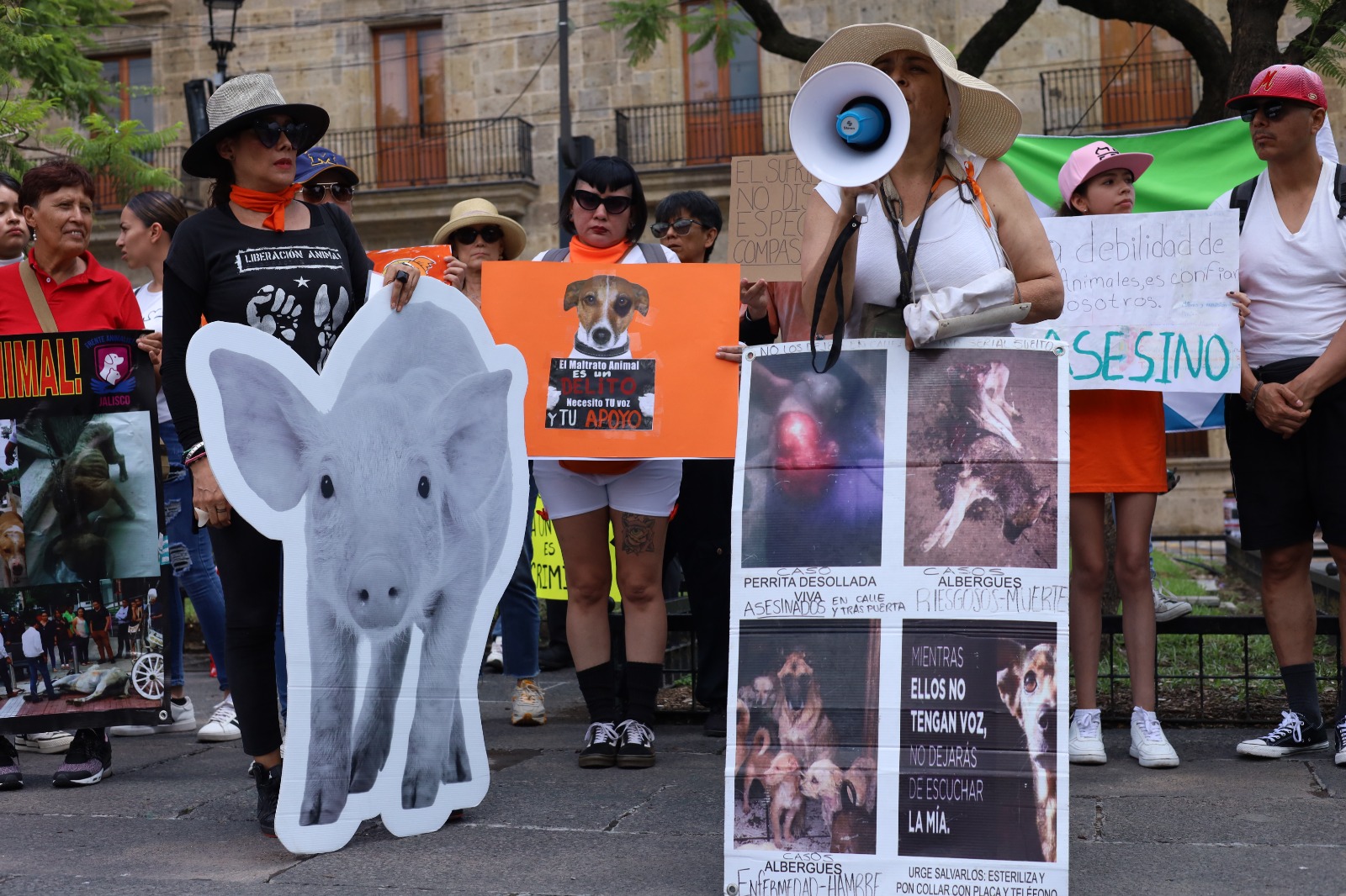 Ignoran combate a crueldad animal - El Diario NTR | NTR Guadalajara