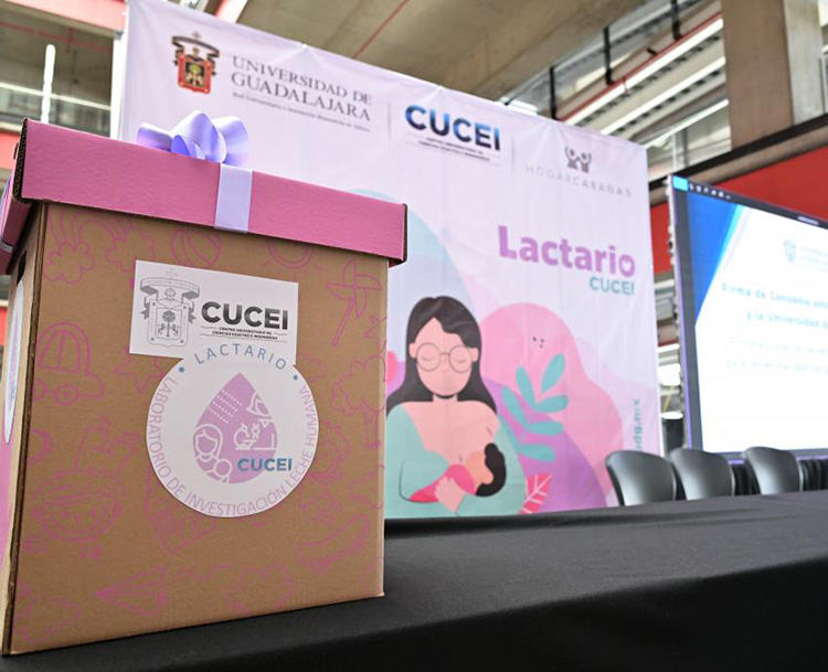 Hogar Cabañas recibe sobres de leche materna para lactantes - El Diario ...