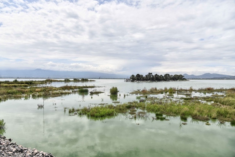 Sin acciones para aminorar impacto del cambio climático - El Diario NTR ...