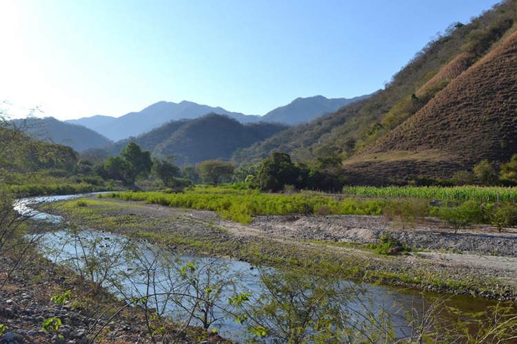 Sierra de Vallejo-Río Ameca, sin conservación - El Diario NTR | NTR ...
